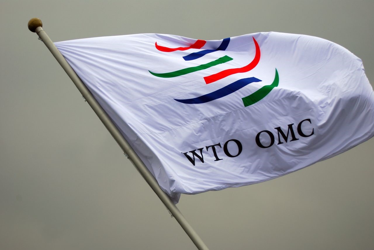 With a new Director General, can the WTO become a force for progress ...